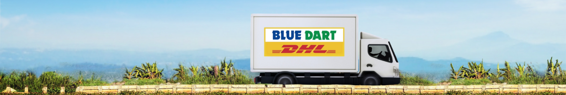Blue Dart Express Limited- India’s Most Innovative and Awarded Express ...